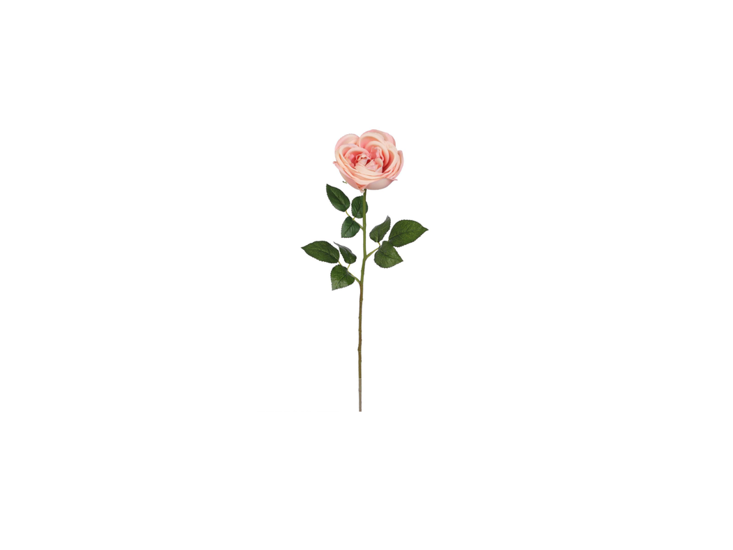 Single Rose | 60cm – Tal-Lira